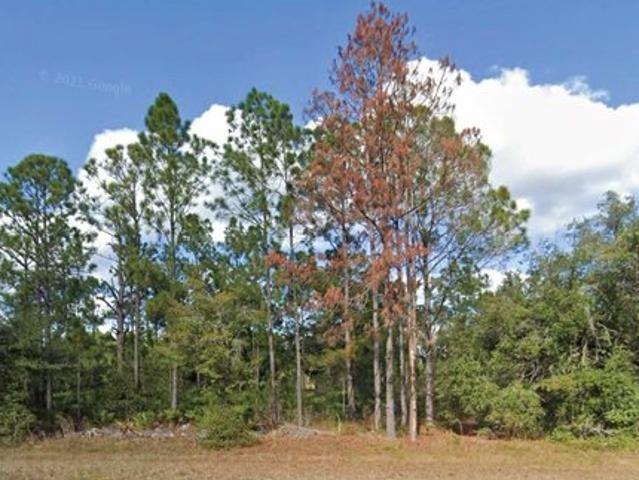 508 Palm Ave, Indian Lake Estates, FL 33855