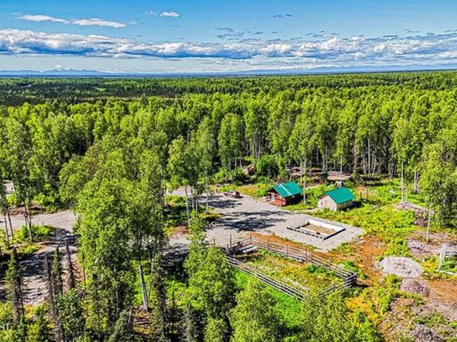 50915 S Caswell Creek Dr, Willow, AK 99688