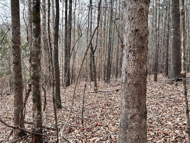 509 Crowe Creek Road