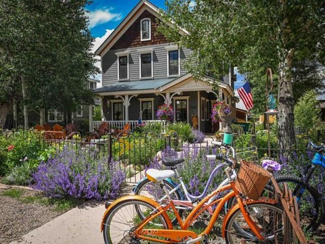 509 Gothic Ave, Crested Butte, CO 81224