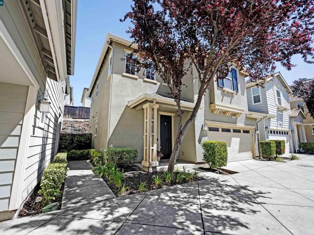 509 Falling Star Dr