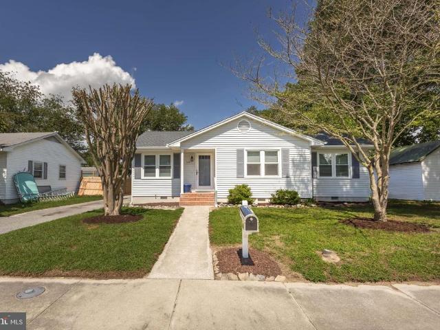 509 Juniper Street