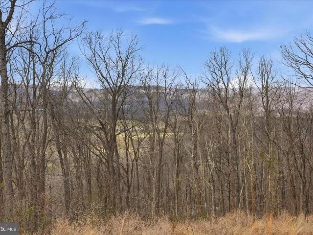 509 river view pl