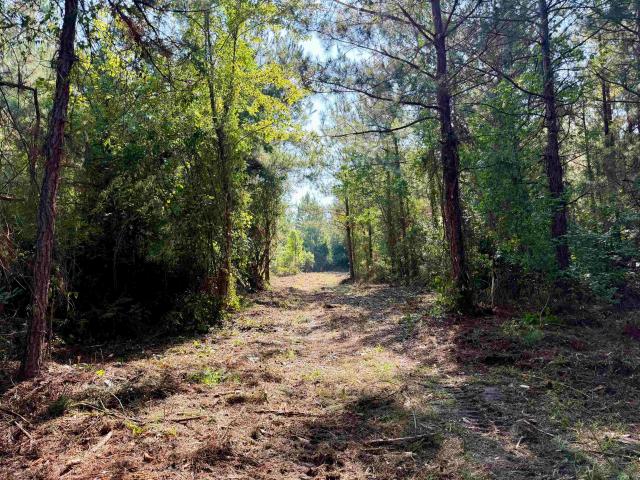 50.5 Acres Epps Rd