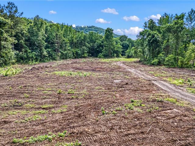 50.65 acres off SR 164 W