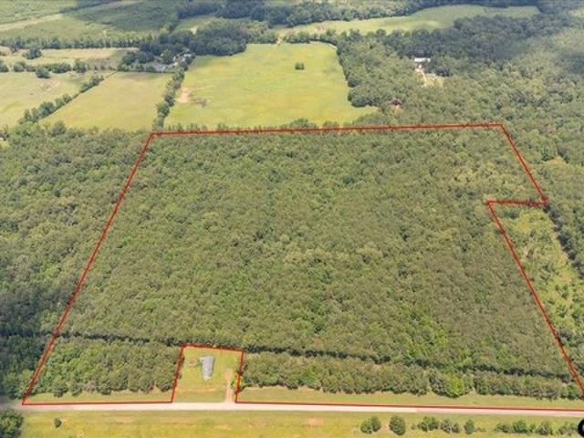 50.795 Ac Fm 2496, Mount Enterprise, TX 75681