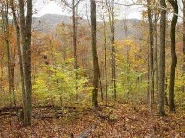50.87 Acres Mountain Land Rolling, Level, Wooded for sale in Green Sulphur Springs, West Virginia