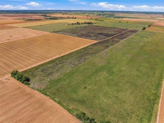 50.3 Acres County Road 262, Caldwell, TX 77836