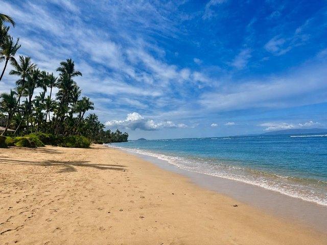 50 Waiohuli St Apt E, Kihei, HI 96753