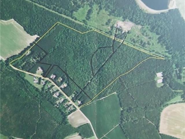 50 Ac Guy Place Rd, Courtland, VA 23837