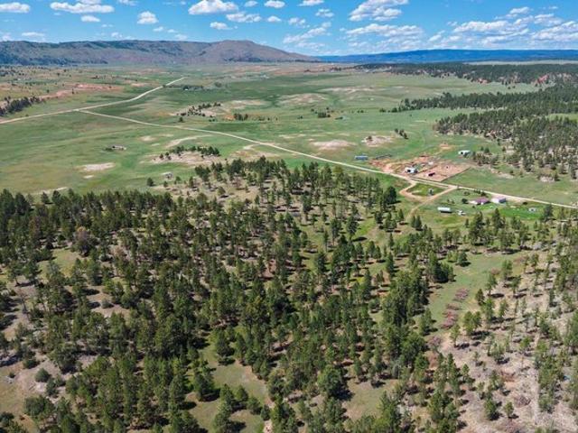 50 Acres 10321 Two Track Trl, Custer County, SD 57735