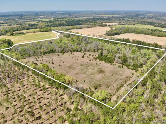 50 Acres Dillard Road