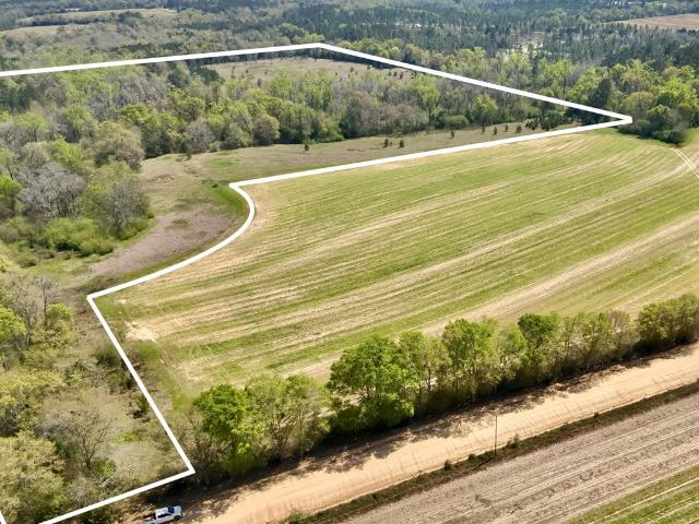 50 Acres Dillard Road