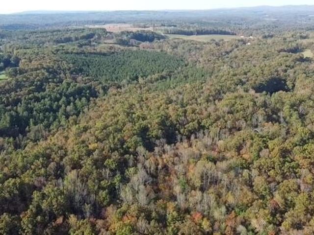 50 Acres Dogwood Rd, Grandview, TN 37337