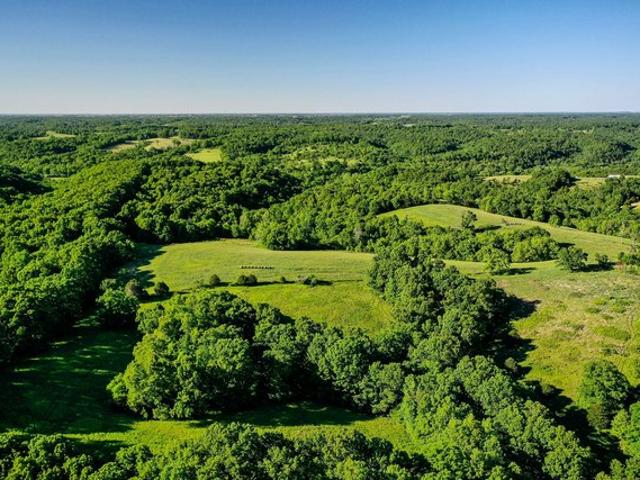 50 Acres Farm Road 1010, Exeter, MO 65647
