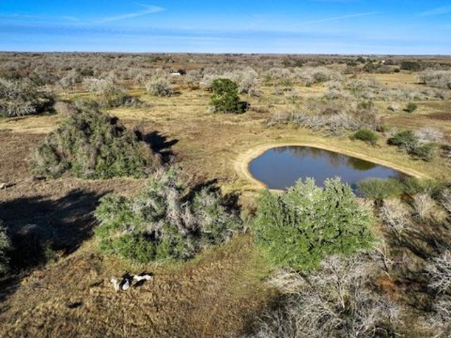 50 Acres Fm 1681, Nixon, TX 78140