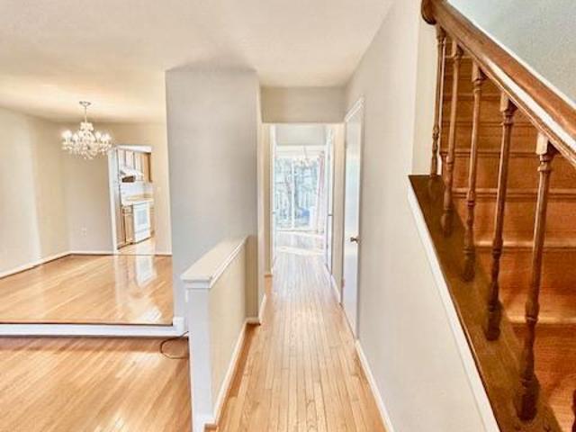 50 Capricorn Court