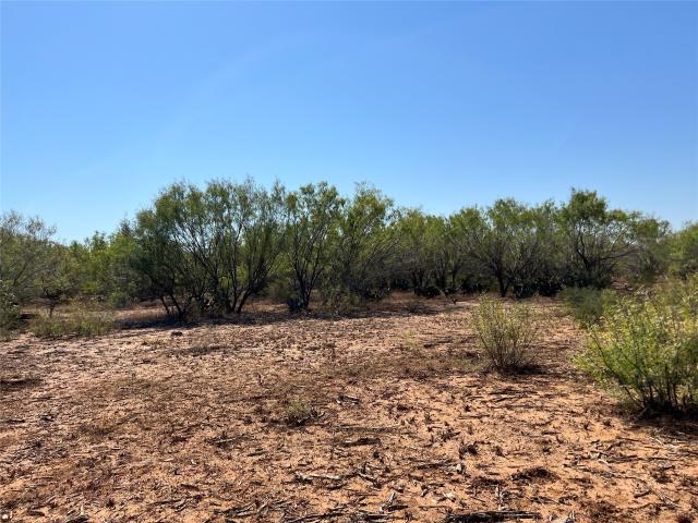 50 CR 321 TRACT 15 J243