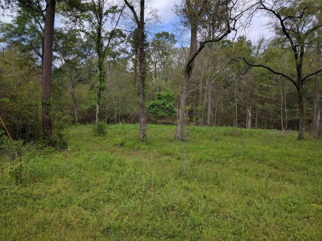 50 G Jock St, Livingston, TX 77351 | MLS #17289