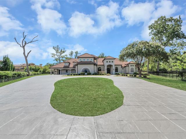 50 Golden Hollow