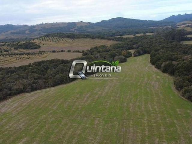 50 Hectares em Amaral Ferrador Beira da RS R$ 2,8 Milhões