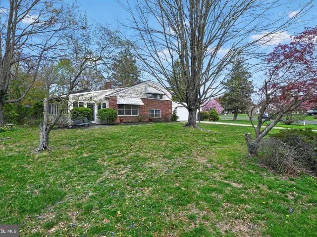50 Ivy Lane
