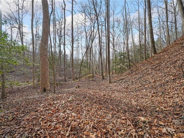 50 Old Stamp Mill Rd, Dahlonega, GA 30533 | MLS #7799