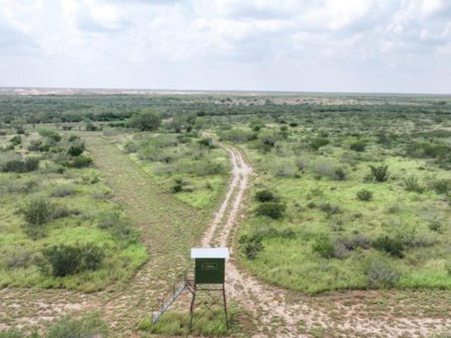 50 Ranch Rd, Freer, TX 78376