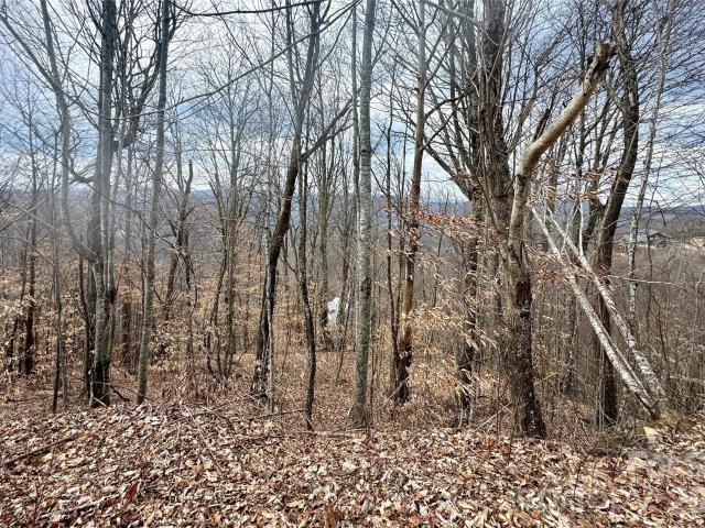 50 Scenic Wolf Dr, Mars Hill, NC 28754 | MLS #4324
