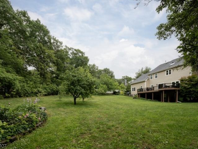 50 Scheurman Ter