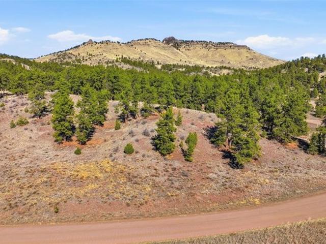 50 Stage Coach Rd Lot 9, Guffey, CO 80820