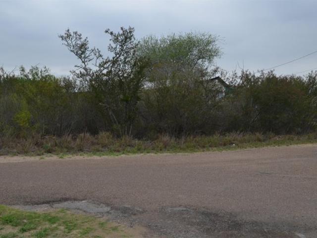 5105 Grande Ln, Zapata, TX 78076