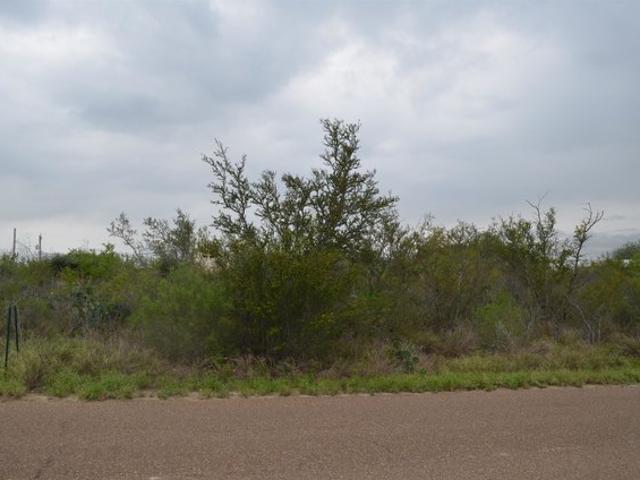 5107 Grande Ln, Zapata, TX 78076