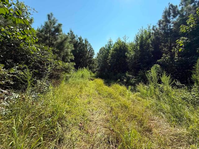 5100 Co Rd 85