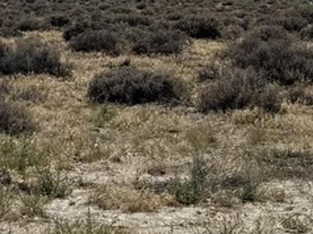 5100 Veterans Memorial Hwy, Silver Springs, NV 89429