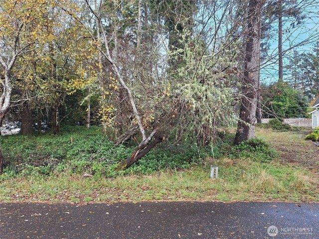 510 Chickamin Ct SE Lot 606, Ocean Shores, WA 98569
