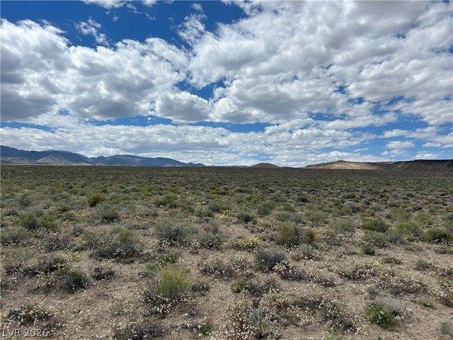 510 Gillum Ln, Dyer, NV 89010
