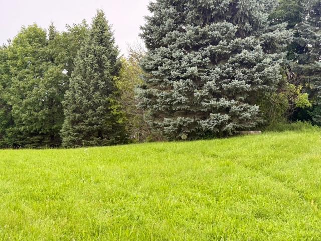 510 Enclave Drive