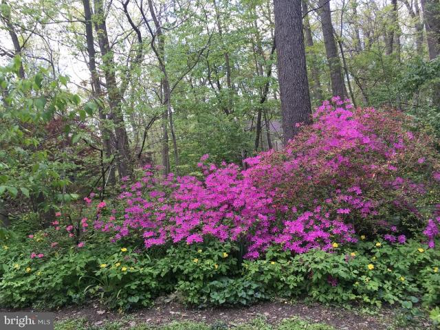 510 Pine Needle Drive