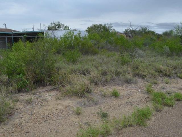 5115 Grande Ln, Zapata, TX 78076