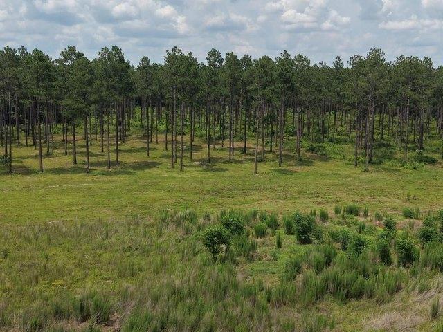 5115 Highway 200, Blakely, GA 39823
