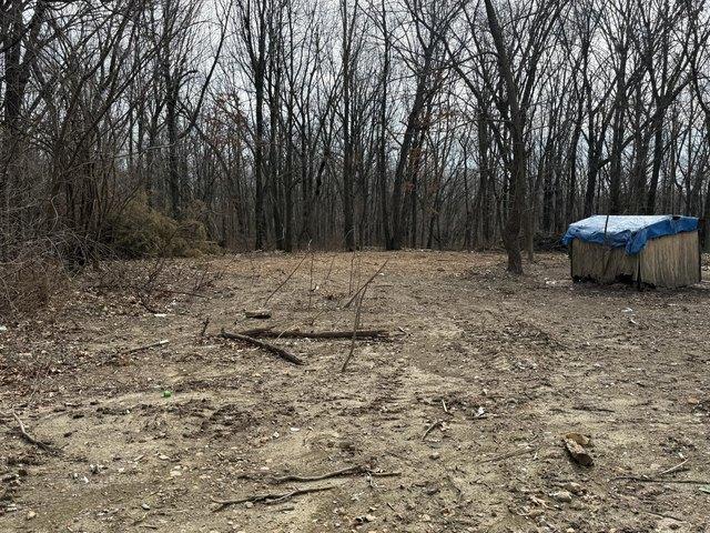 5116 State Highway WW, Verona, MO 65769