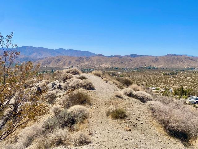 51170 Panorama Dr, Morongo Valley, CA 92256 | MLS #219136