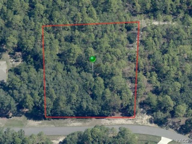 5117 N Wayne Dr, Beverly Hills, FL 34465