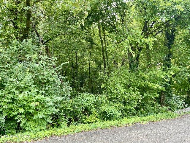 5119 Odell Rd, Knoxville, TN 37920
