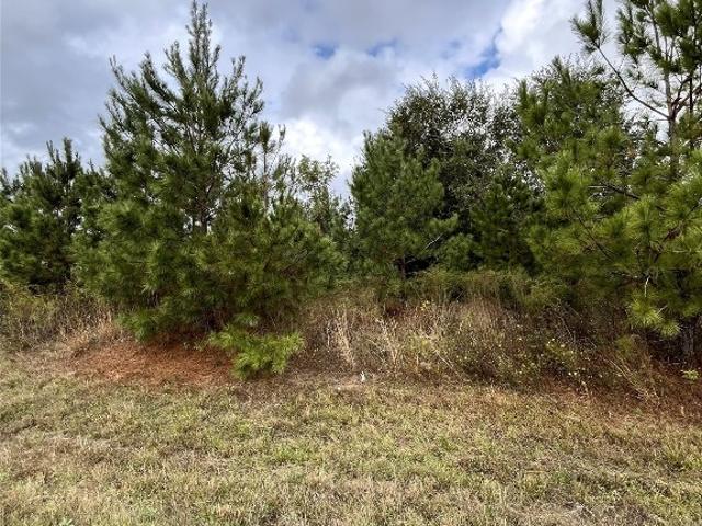 511 County Road 5017, Cleveland, TX 77327 | MLS #75408