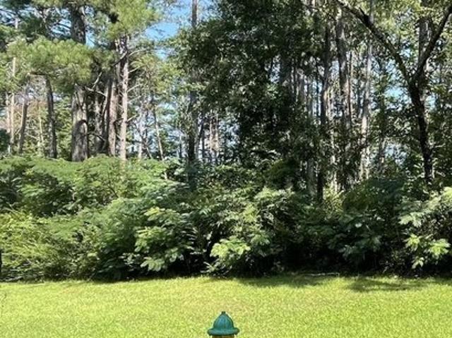 511 Altadena Dr Lot 3, Gardendale, AL 35071