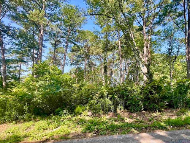 511 Altadena Drive # 3