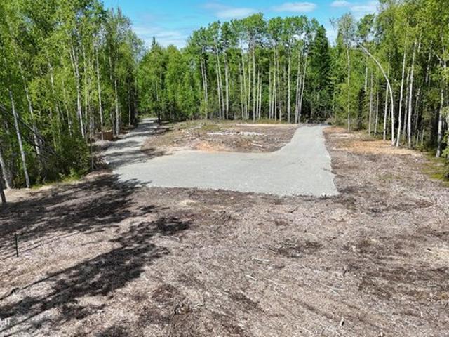 51293 S Caswell Loop, Willow, AK 99688