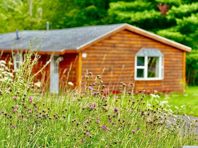 5134 Highway 23, Windham, NY 12496 | MLS #20254